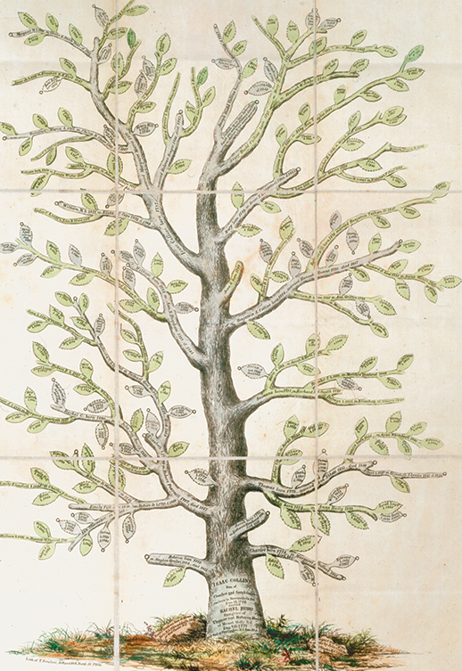 Mayflower Lineage – Earth Base Zero